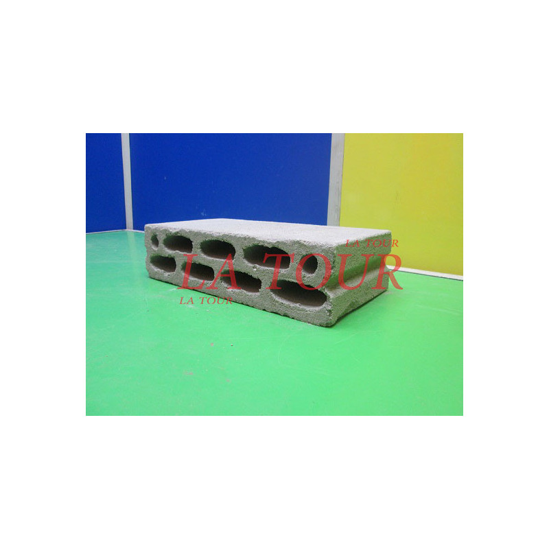 BRIQUE CIMENT AGGLOS CREUSE 40x20x10CM