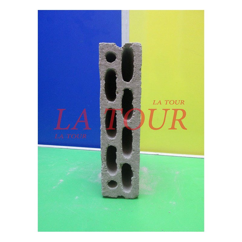 BRIQUE CIMENT AGGLOS CREUSE 40x20x10CM