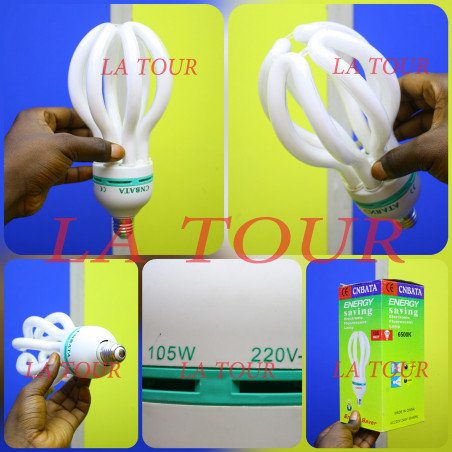 AMPOULE ECONOMIQUE A VIS 105W CNBATA