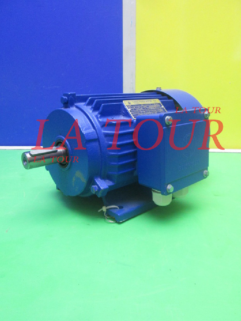 MOTEUR ELECTRIQUE TRIPHASE 2,2KW 3HP 220/380V (Y3-90L2) GUANGLU BLEU