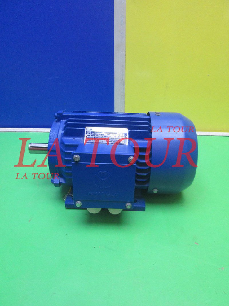 MOTEUR ELECTRIQUE TRIPHASE 2,2KW 3HP 220/380V (Y3-90L2) GUANGLU BLEU
