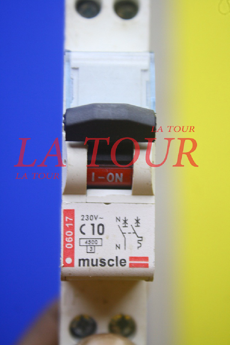 DISJONCTEUR DPN 10A MUSCLE GRIS CLAIR