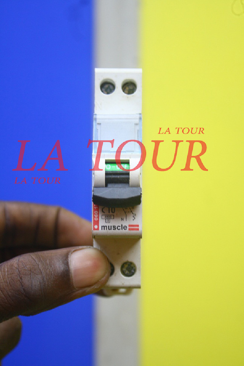 DISJONCTEUR DPN 10A MUSCLE GRIS CLAIR