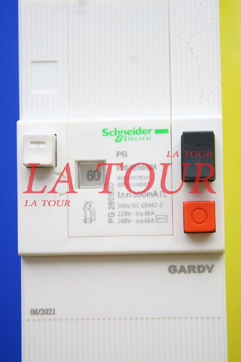 DISJONCTEUR MONOPHASE (30-60)A DIFFERENTIEL 500MA (PG260500) GARDY BL
