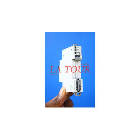 DISJONCTEUR DPN 10A REF.(06017) LEGRAND GRIS