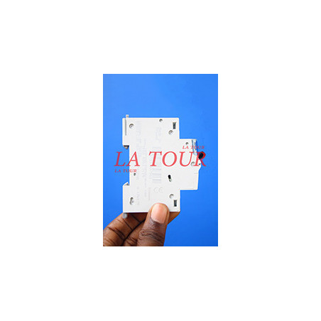 DISJONCTEUR DPN 10A REF.(06017) LEGRAND GRIS